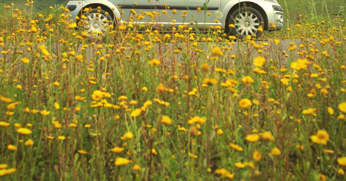 Manutenzione auto in primavera: ecco i controlli da fare Manutenzione auto in primavera: ecco i controlli da fare